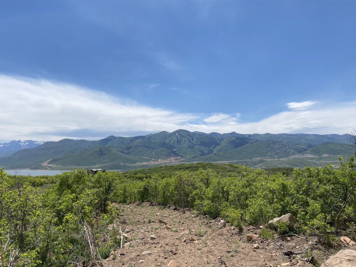 Soaring Hawk Lot 90 – Budingen Architecture