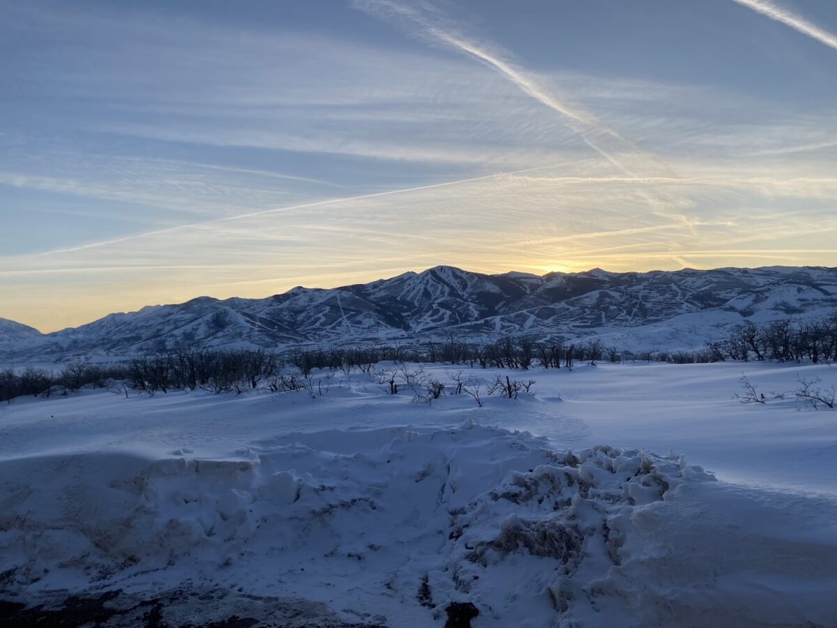 Soaring Hawk Lot 90 – Budingen Architecture